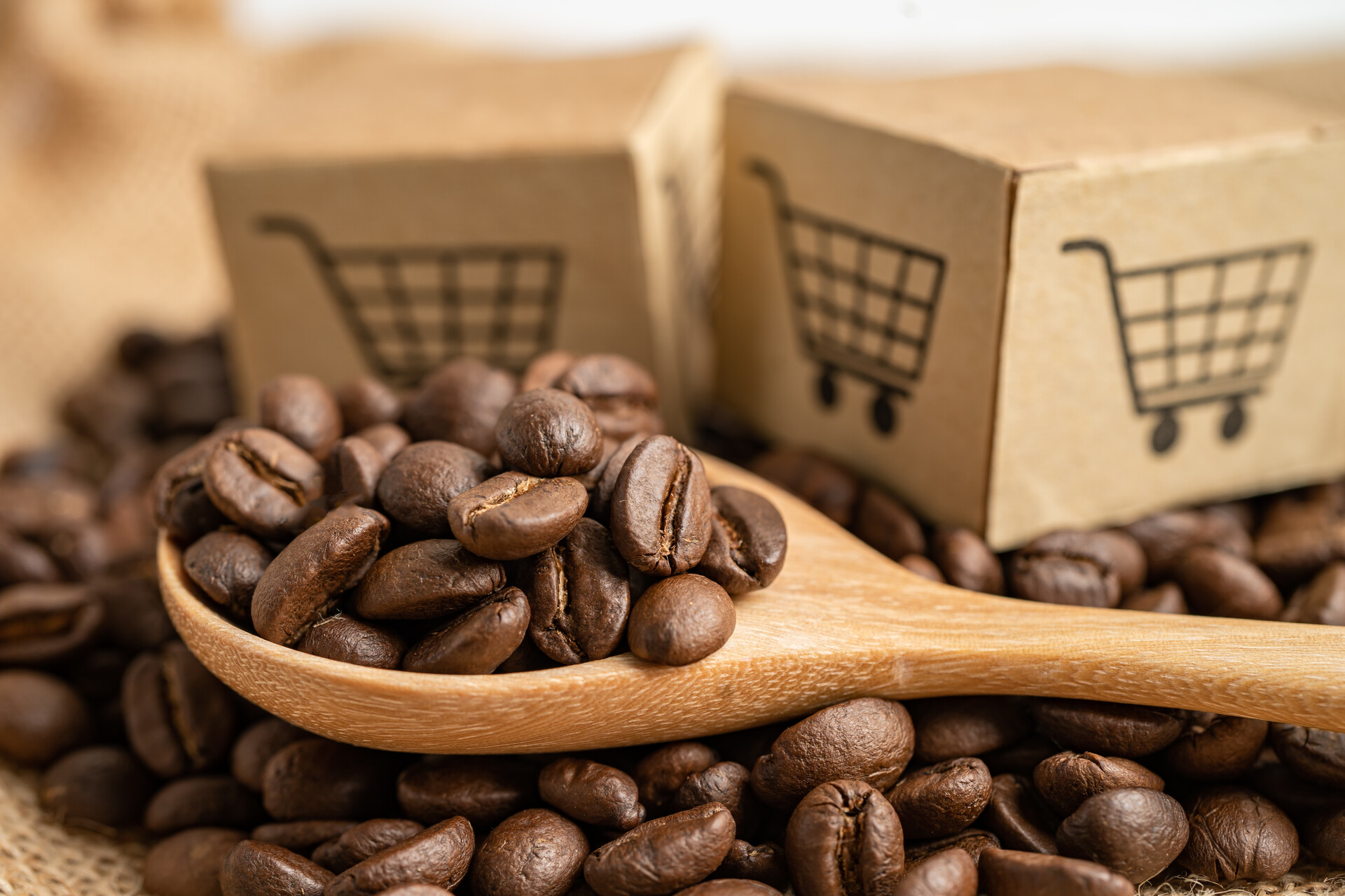 How to Store Coffee Beans for the Best Fresh Flavor