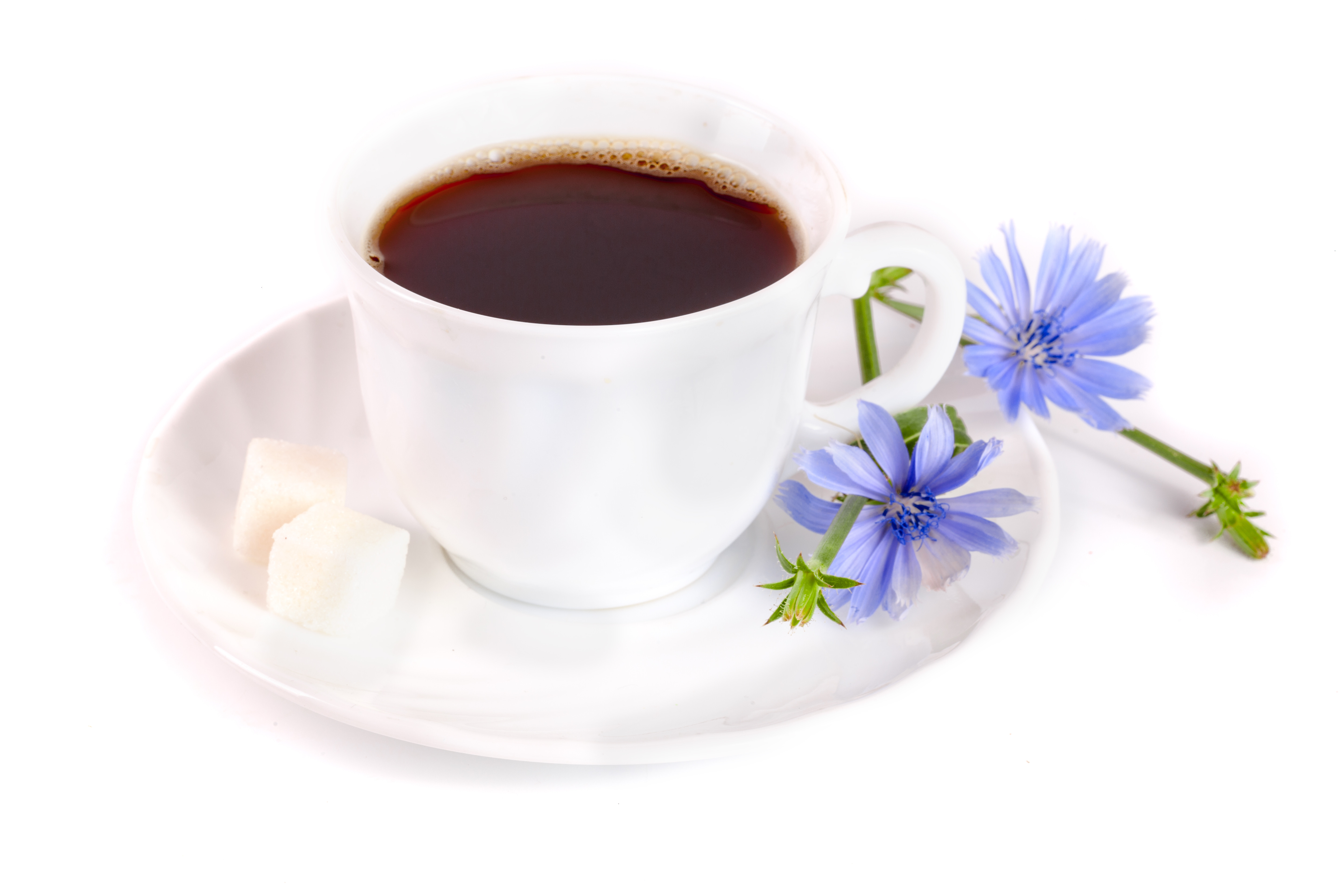 Top Coffee Drinks for Non-Coffee Drinkers | Gridlock Coffee Roasters